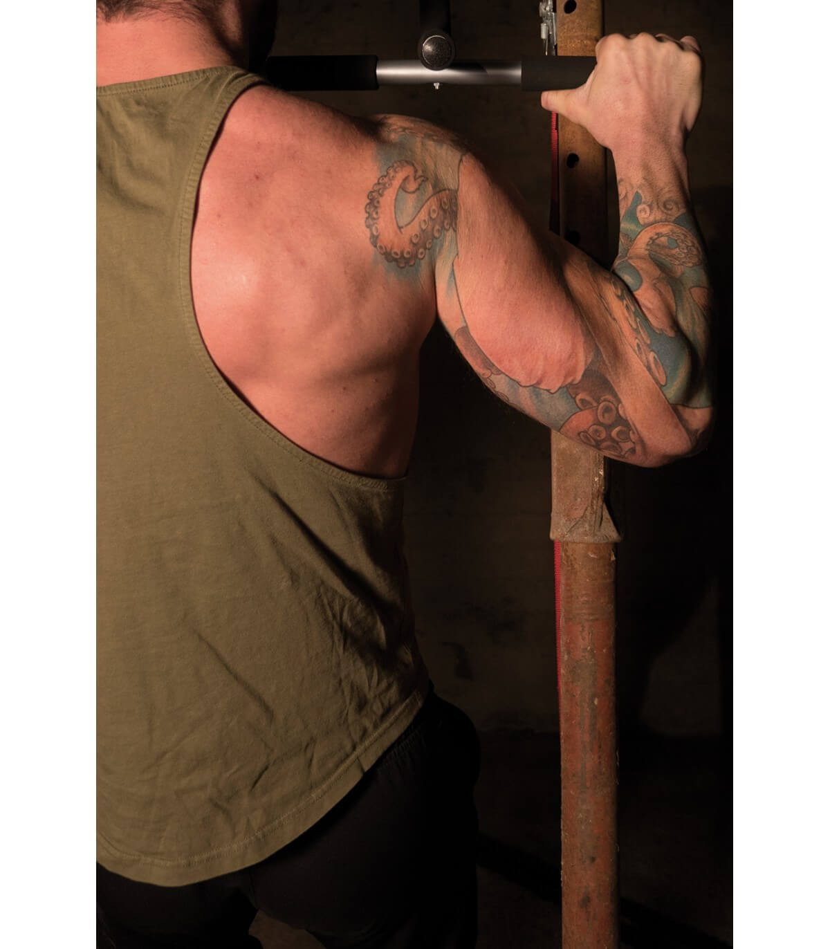 Pull up Push and pull bar set